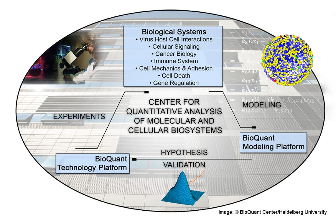 Ten years in systems biology research at BioQuant