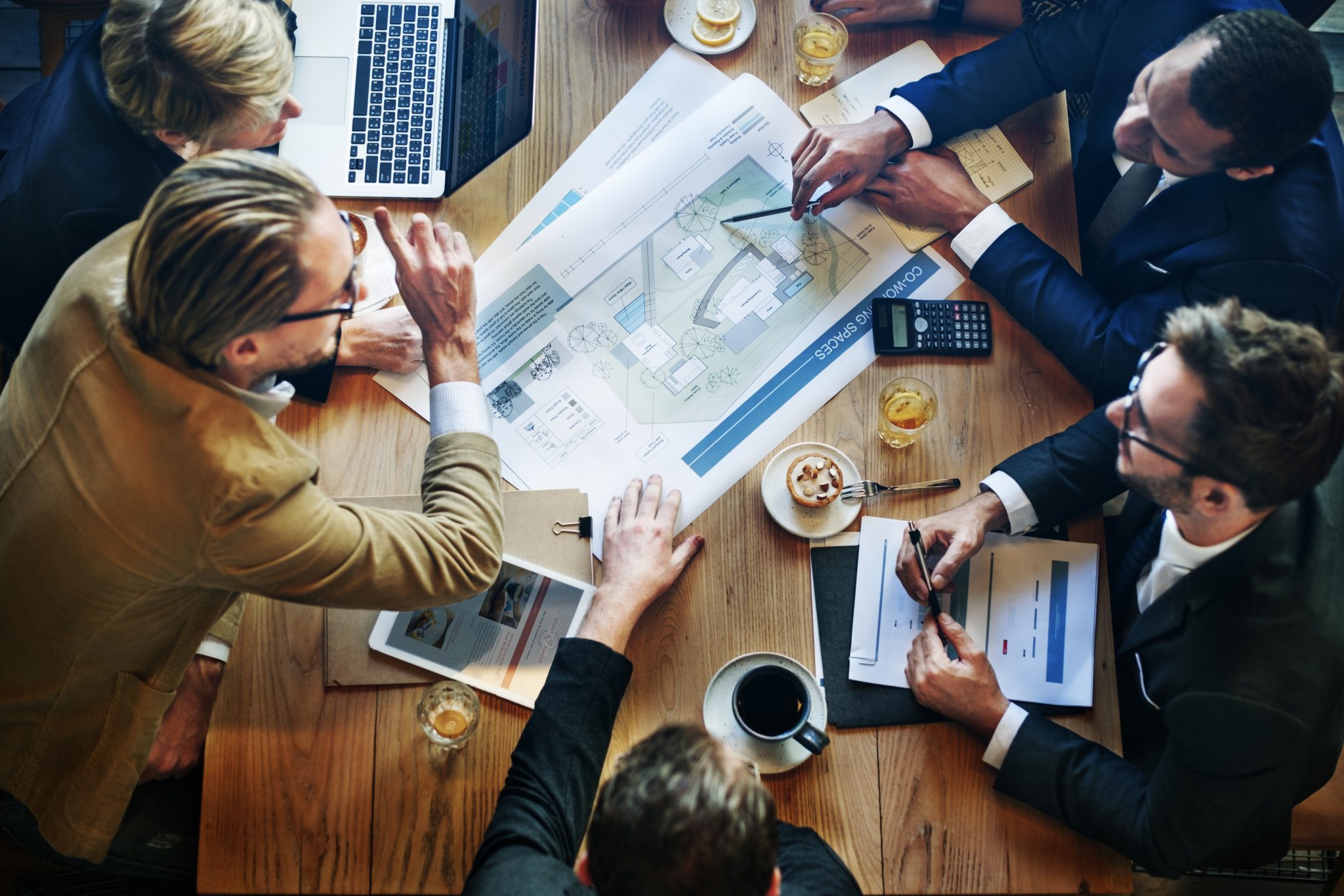The role of the Master System Integrator (MSI) The role of the Master System Integrator (MSI)