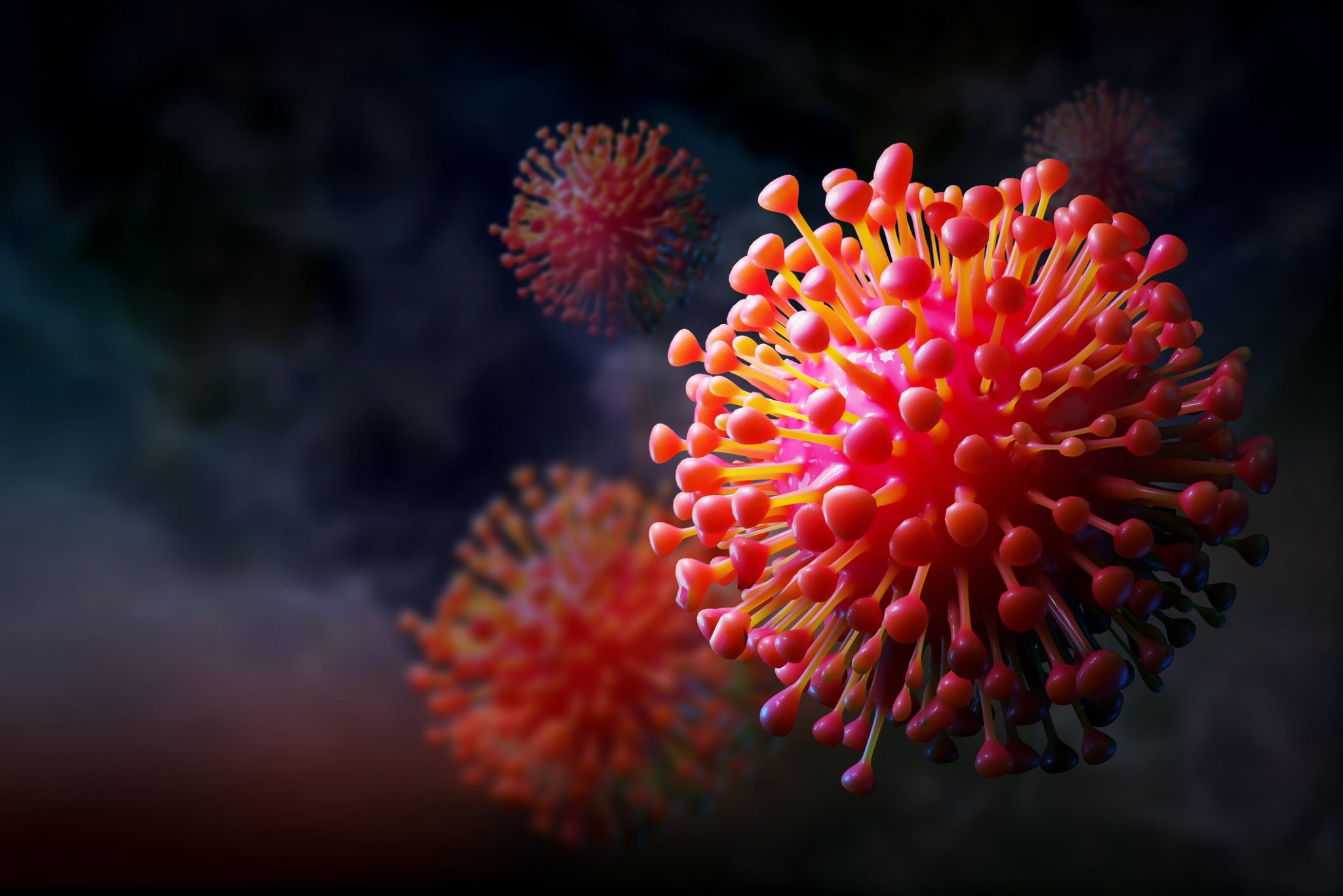 What Is A Virus An Exploration For Middle School Students
