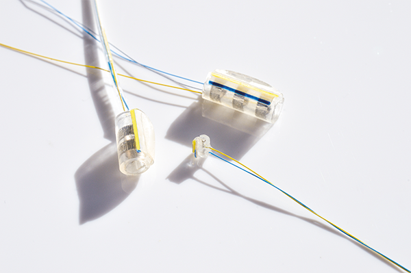 CorTec, neurotechnology and the Brain Interchange System